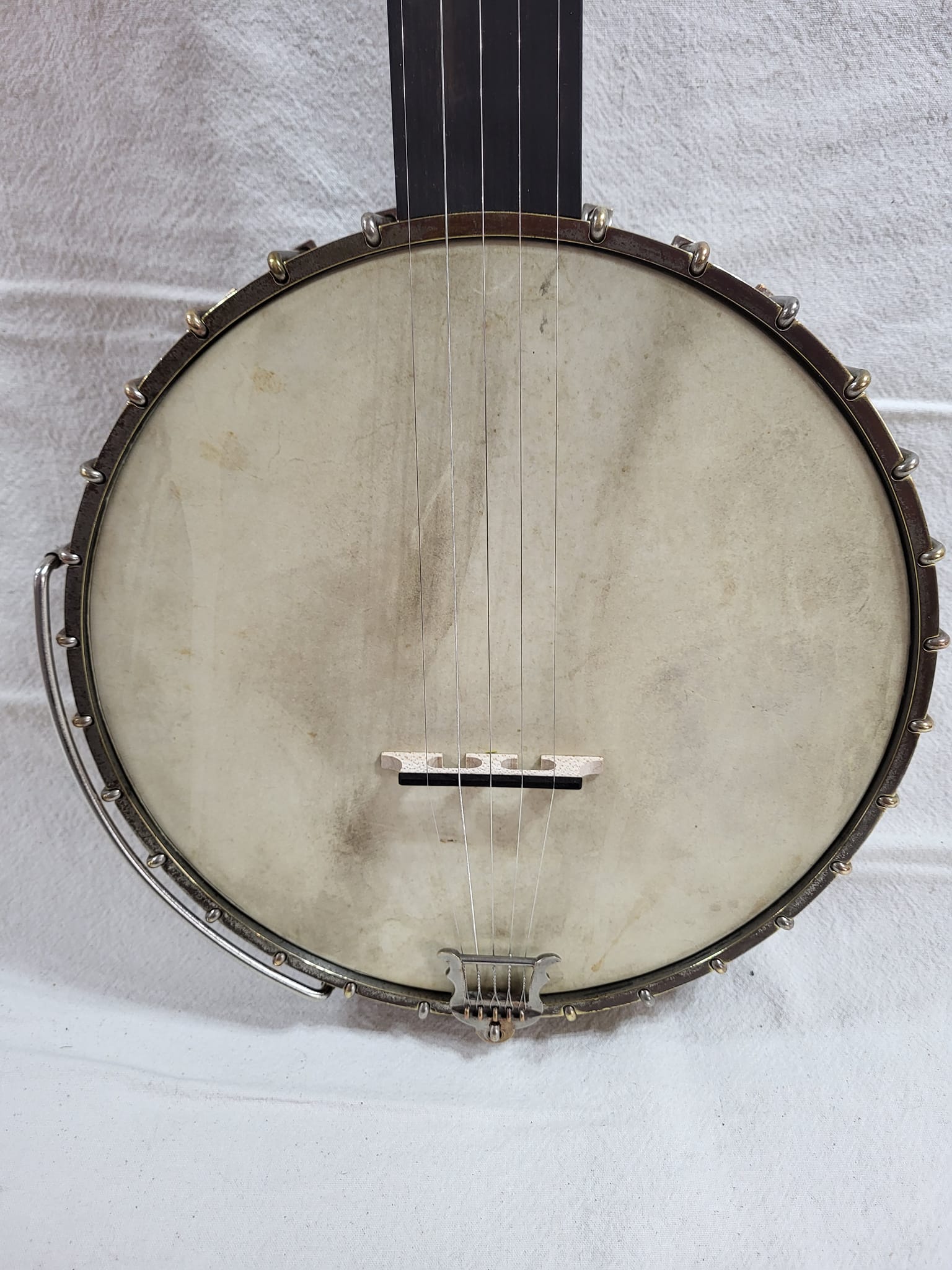 Second Life Banjo